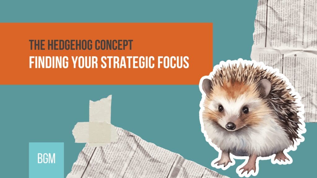 The Hedgehog Concept - Finding Your Strategic Focus